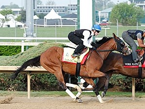 Danzig Moon - Horse Profile - BloodHorse