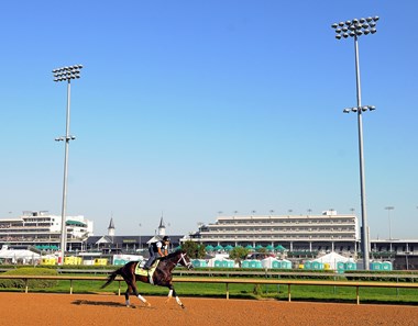 Oxbow - Horse Profile - BloodHorse