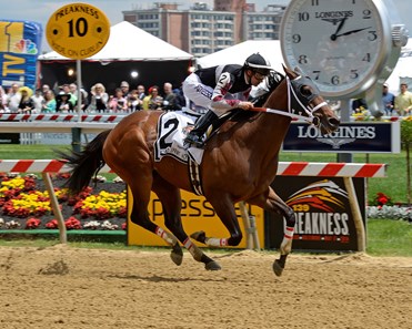 Happy My Way - Horse Profile - BloodHorse