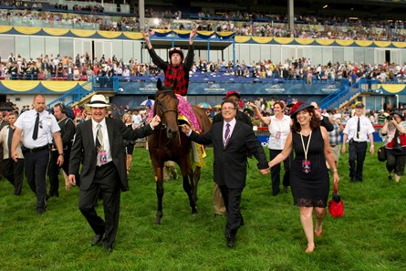 Midnight Aria - Horse Profile - BloodHorse