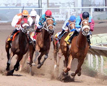 The Week in Photos for 8/26/2014 - Slideshow - BloodHorse
