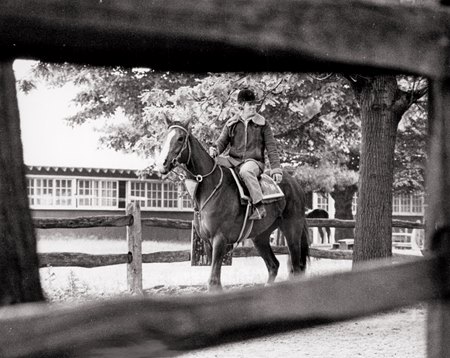 When Racing and Tennis Combined in Chris Evert - BloodHorse