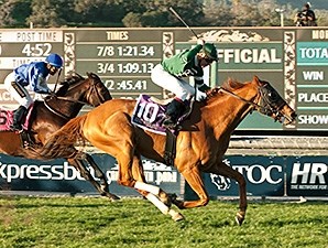 Ring Weekend - Horse Profile - BloodHorse