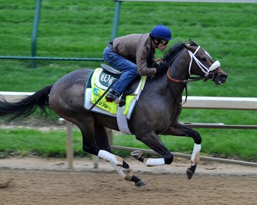 Oxbow - Horse Profile - BloodHorse
