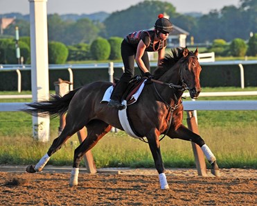 Orb - Horse Profile - BloodHorse
