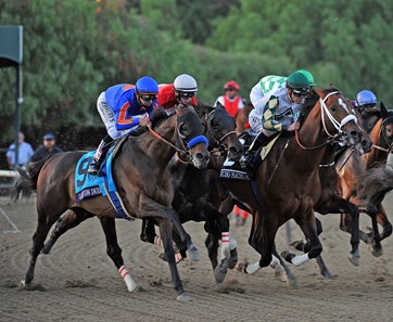 Mucho Macho Man - Horse Profile - BloodHorse