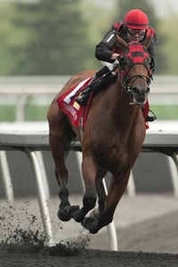 Midnight Aria - Horse Profile - BloodHorse