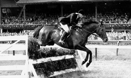 Kelso - Horse Profile - BloodHorse