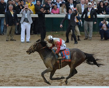 Orb - Horse Profile - BloodHorse