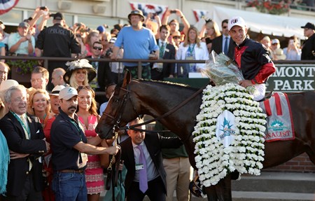 Tonalist - Horse Profile - BloodHorse