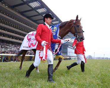 Copano Rickey (JPN) - Horse Profile - BloodHorse