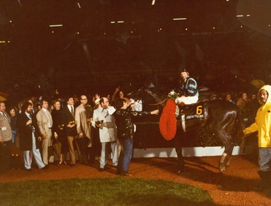 Spectacular Bid - Horse Profile - BloodHorse