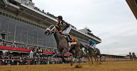Oxbow - Horse Profile - BloodHorse