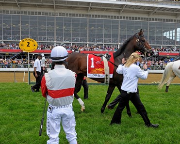 Orb - Horse Profile - BloodHorse