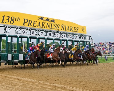 Oxbow - Horse Profile - BloodHorse