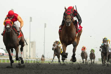 Midnight Aria - Horse Profile - BloodHorse