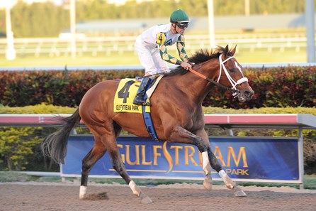 Mucho Macho Man - Horse Profile - BloodHorse