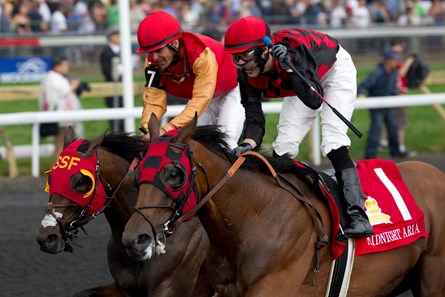 Midnight Aria - Horse Profile - BloodHorse