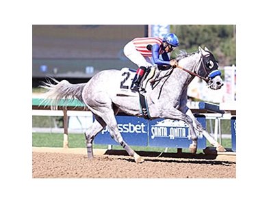 Debut Winner Power Jam Impresses for Baffert - BloodHorse