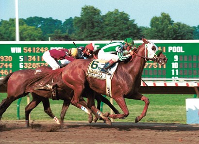 Point Given - Horse Profile - BloodHorse