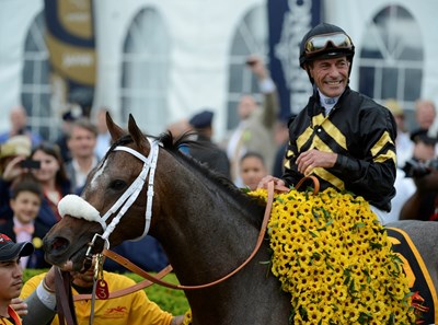 Oxbow - Horse Profile - BloodHorse
