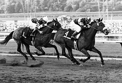 John Henry - Horse Profile - BloodHorse