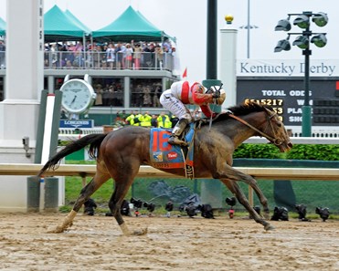 Orb - Horse Profile - BloodHorse
