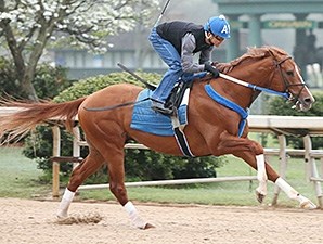 Tapiture - Horse Profile - BloodHorse