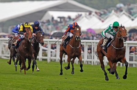 War Command - Horse Profile - BloodHorse