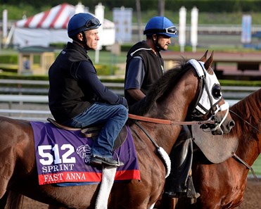 Fast Anna - Horse Profile - BloodHorse