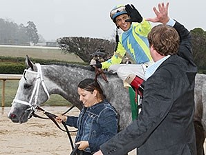 Race Day - Horse Profile - BloodHorse