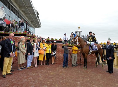 Oxbow - Horse Profile - BloodHorse
