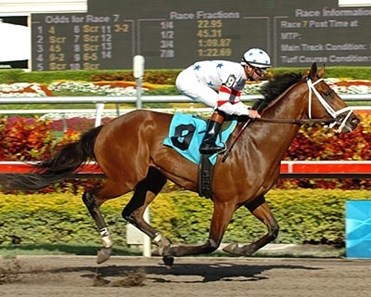 The Week in Photos: August 29, 2008 - Slideshow - BloodHorse