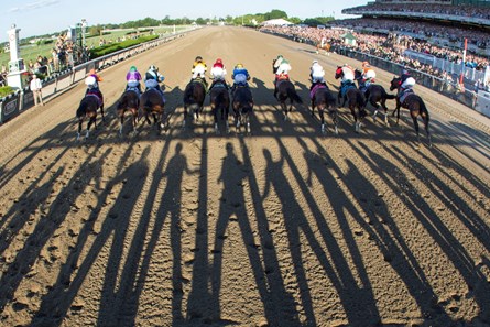 Tonalist - Horse Profile - BloodHorse