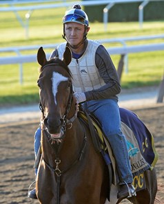Tonalist - Horse Profile - BloodHorse