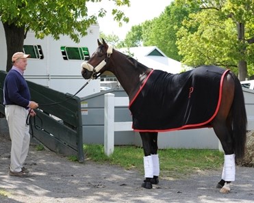 Orb - Horse Profile - BloodHorse