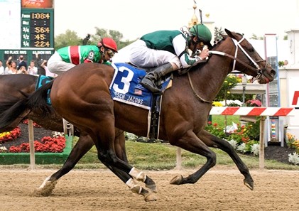 Lantana Mob - Horse Profile - BloodHorse