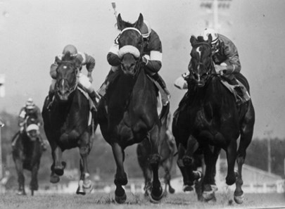 John Henry - Horse Profile - BloodHorse