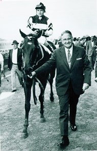 Foolish Pleasure - Slideshow - BloodHorse