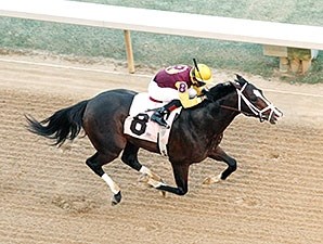 Golden Lad - Horse Profile - BloodHorse