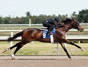 Smart Strike Filly Brings $700,000 at F-T - BloodHorse
