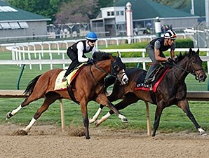 Danzig Moon - Horse Profile - BloodHorse