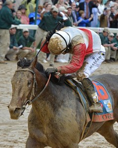 Orb - Horse Profile - BloodHorse