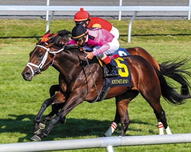 Jack Milton - Horse Profile - BloodHorse