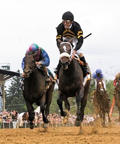 Oxbow - Horse Profile - BloodHorse