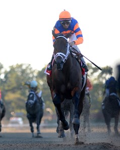 Uncle Mo - Horse Profile - BloodHorse