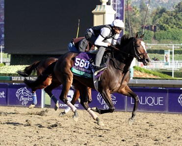 Summer Applause - Horse Profile - BloodHorse