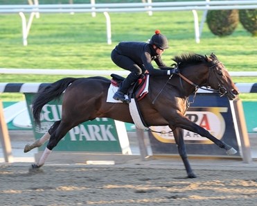 Orb - Horse Profile - BloodHorse