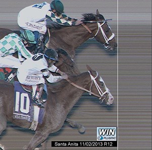 Mucho Macho Man - Horse Profile - BloodHorse