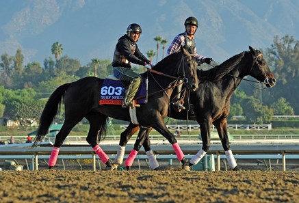 Handsome Mike - Horse Profile - BloodHorse